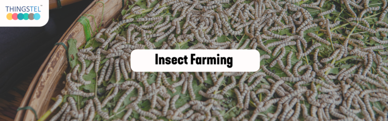 Insect Farming (micro/mini livestock farming) - Thingstel