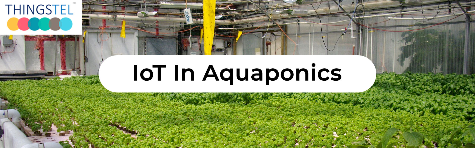 IoT in Aquaponics and Hydroponic systems - Thingstel